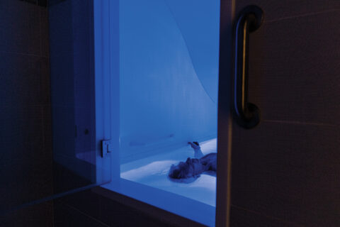 Feel Weightless and Wonderful at Sanctuary Float Spa - Lake Minnetonka ...