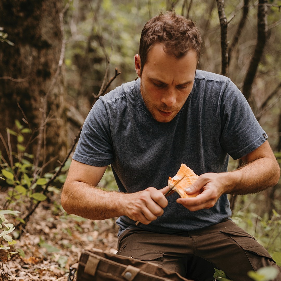Into the Woods With Foraging Expert Alan Bergo - Lake Minnetonka Magazine