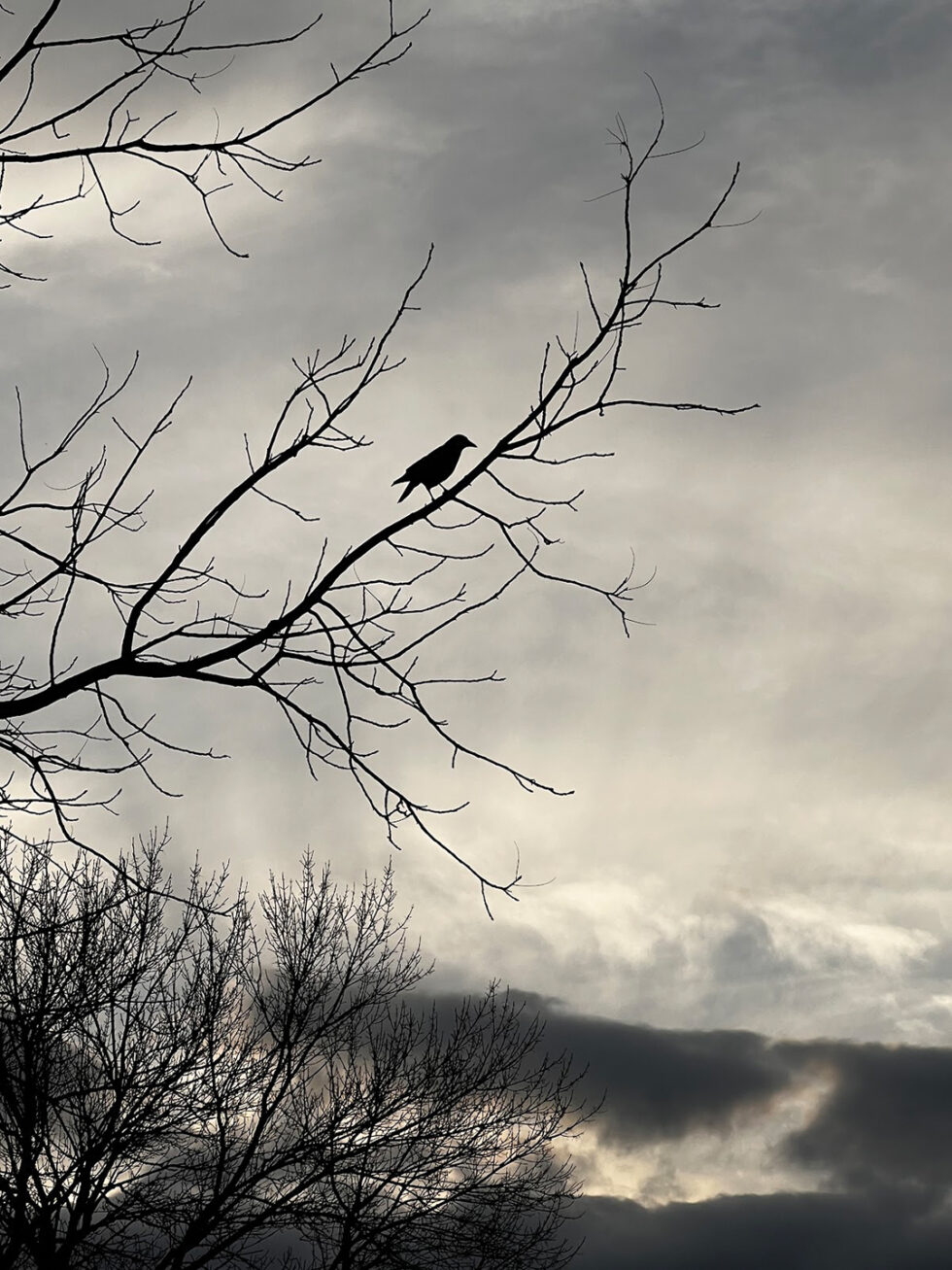 Ominous Autumn - Lake Minnetonka Magazine